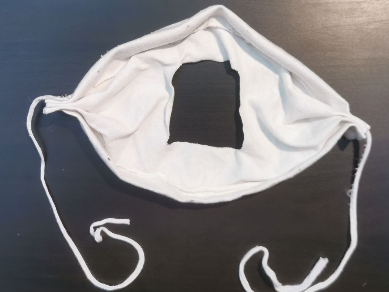 Type 1: A DIY Fine Particulate Mask – Tomato Masks – We are a team ...