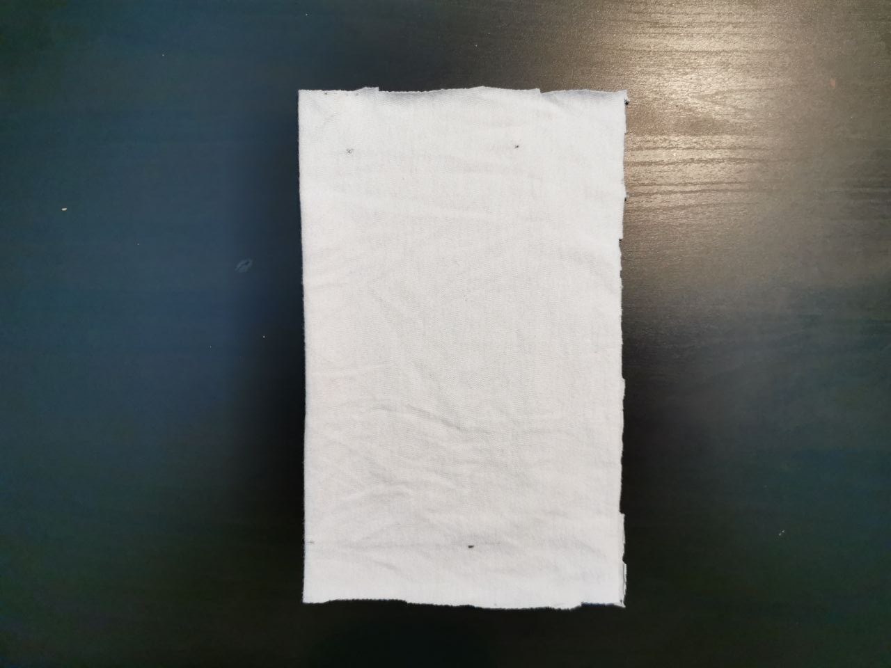 Type 1: A DIY Fine Particulate Mask – Tomato Masks – We are a team ...